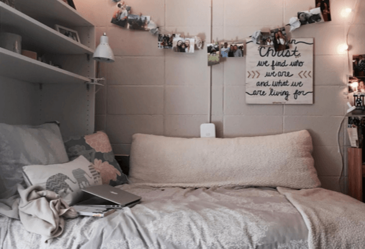 Why rent – Eepy